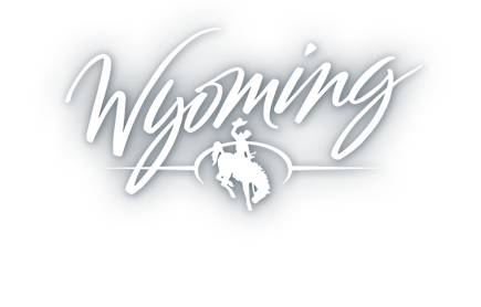 Wyoming Stable Token Commission